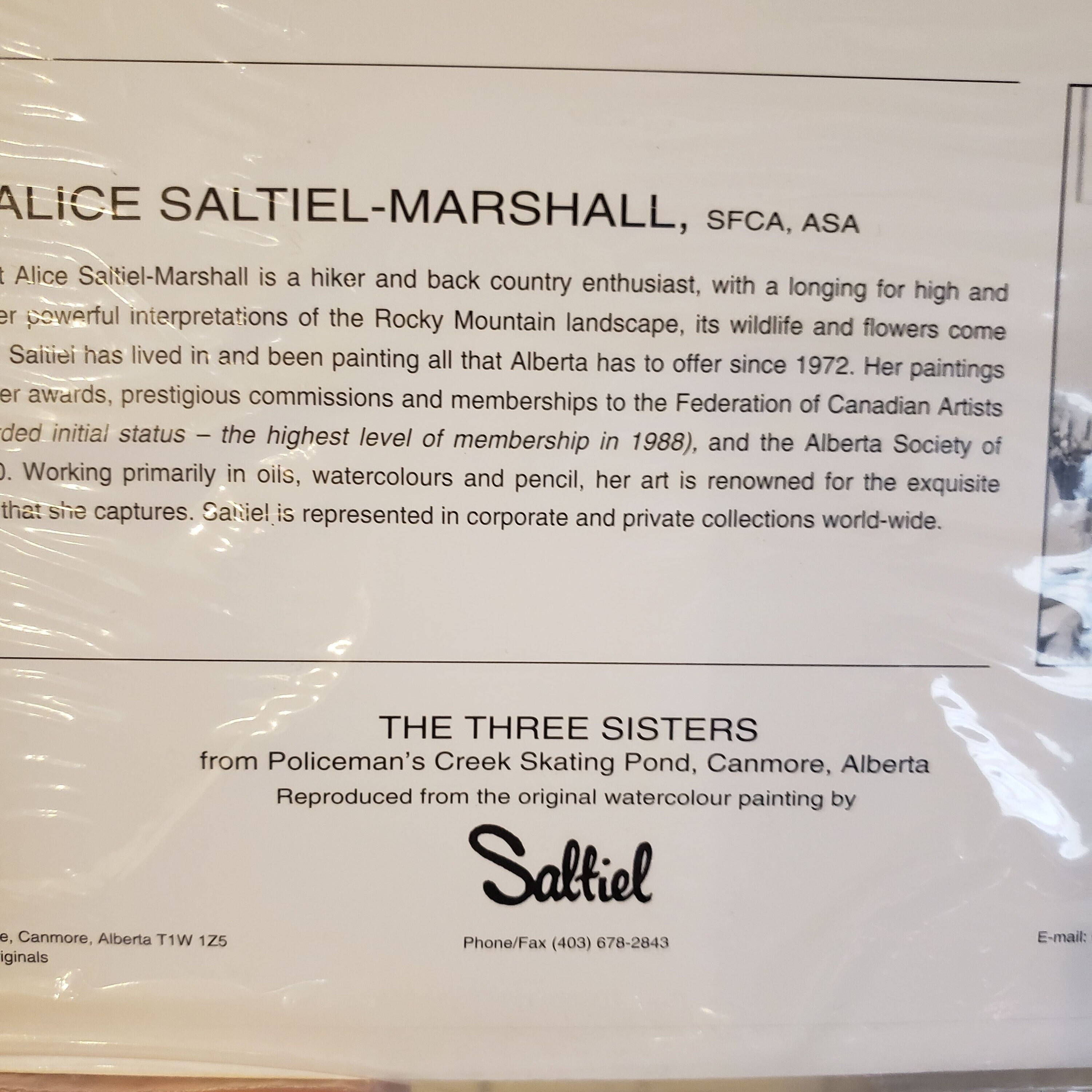 Saltiel Vintage Watercolor Prints Set of Three Alberta Artist Canadian ...