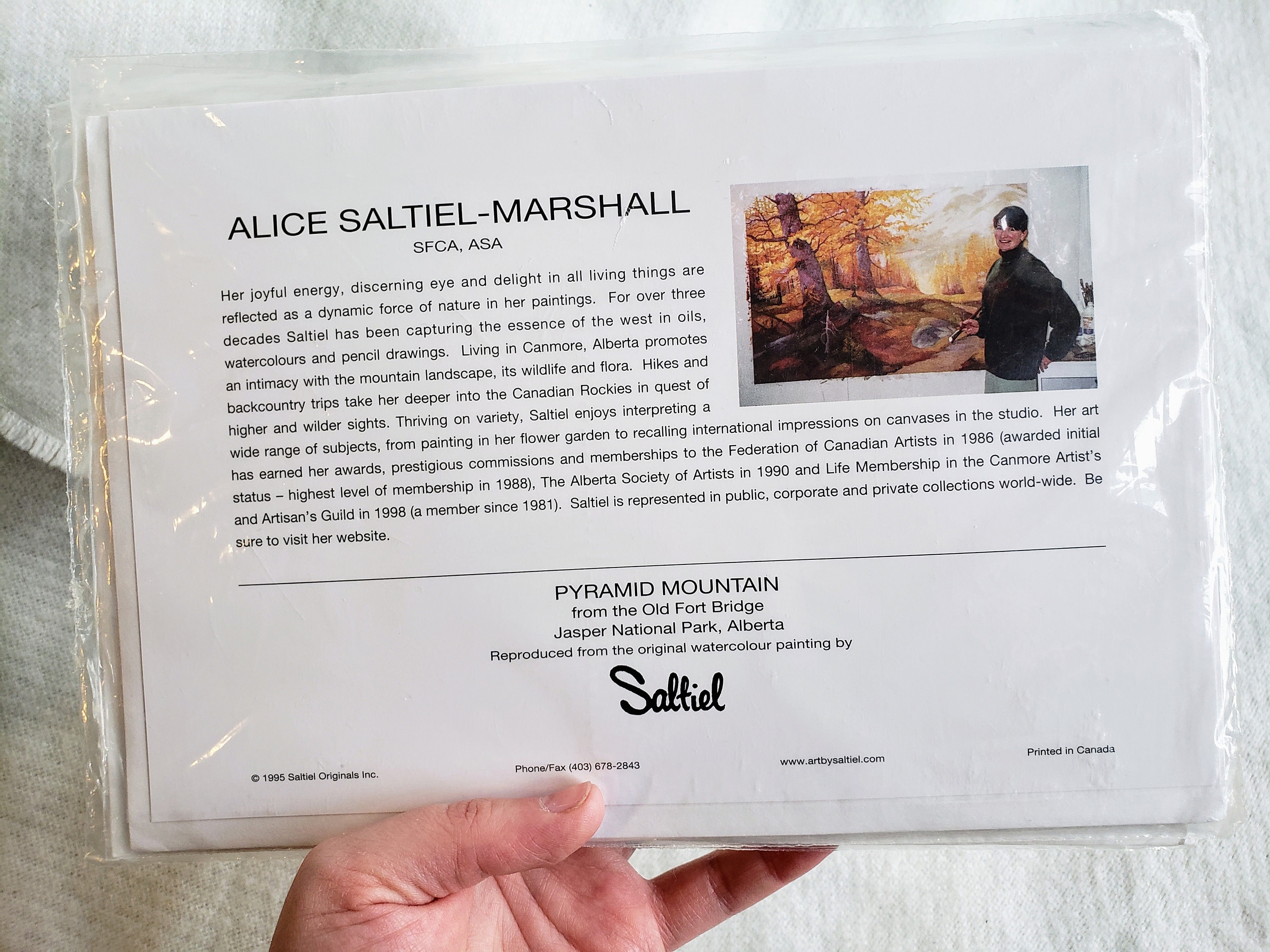 Saltiel Vintage Watercolor Prints Set of Three Alberta Artist Canadian ...