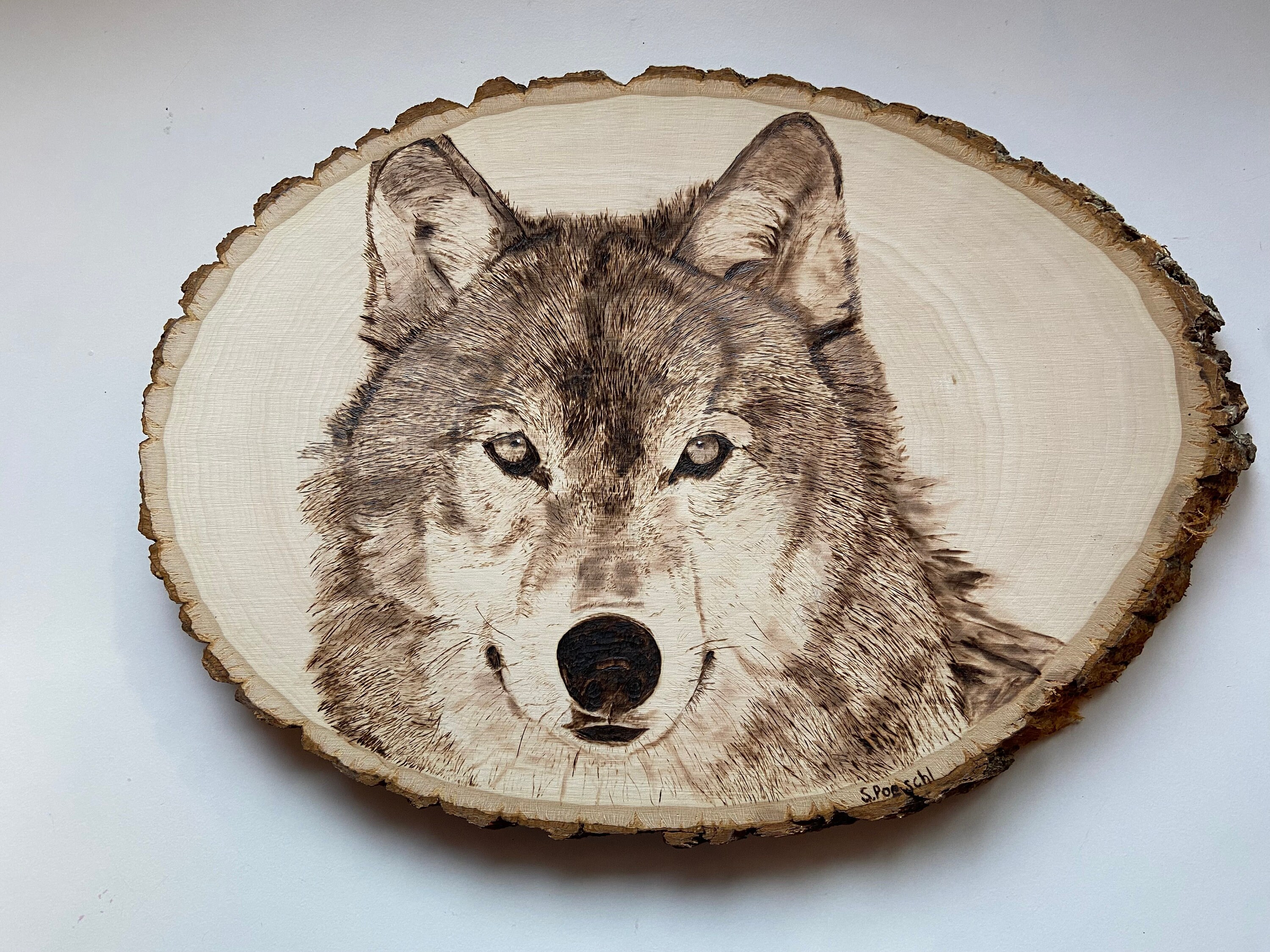 Wood Burned Wolf - Etsy