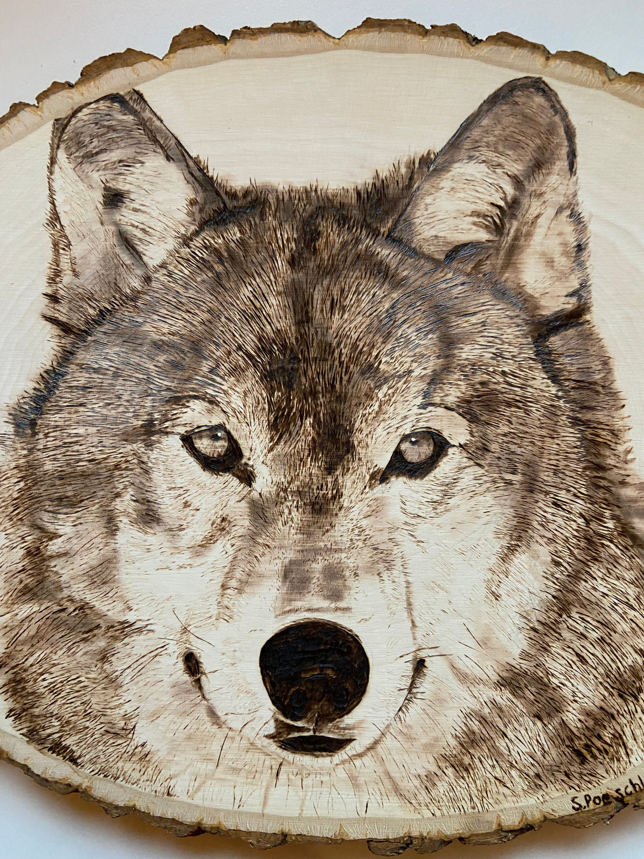 Wood Burned Wolf - Etsy