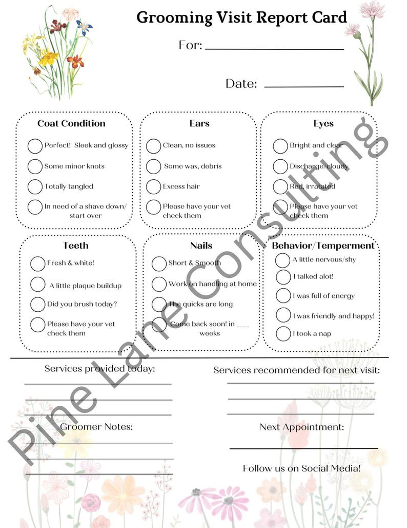 Spring Pet Grooming Report Card: Editable Canva Template (PDF) - Etsy