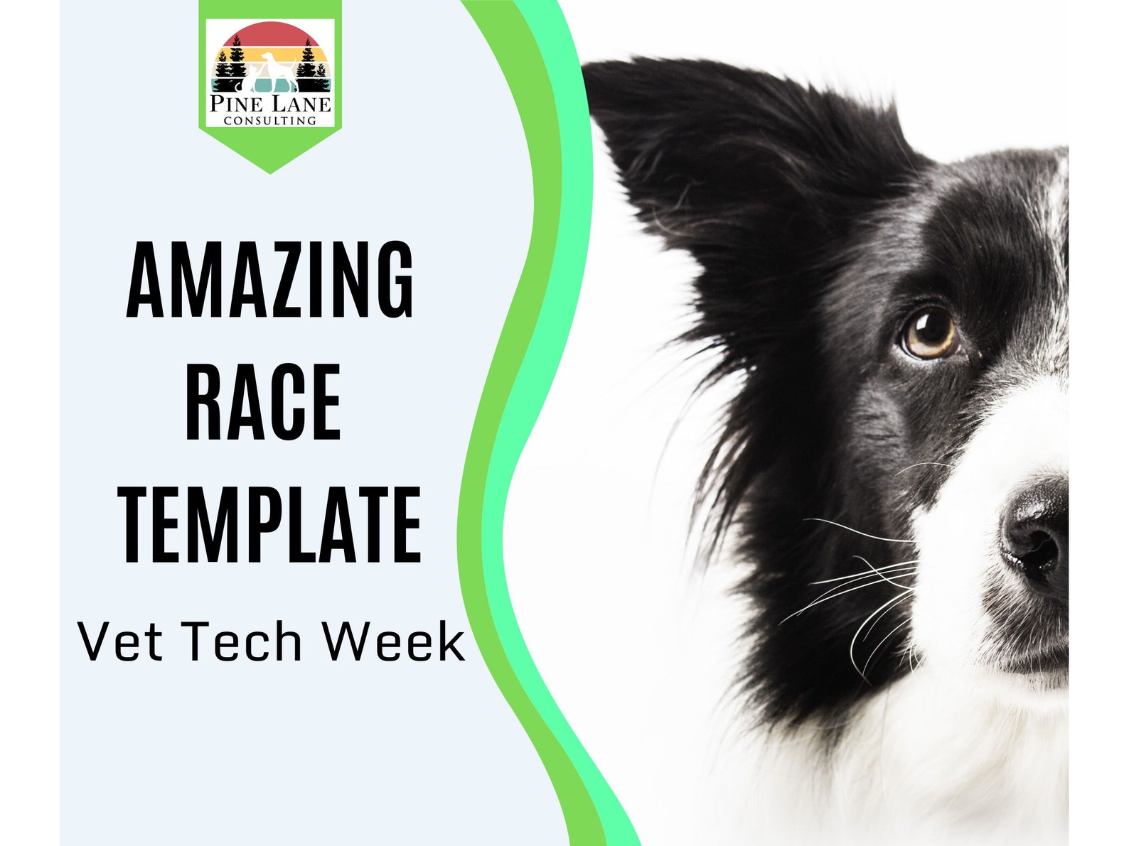 Vet Tech Week Amazing Race Instructions & Templates, Vet Tech Gift ...