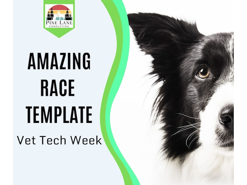 Vet Tech Week Amazing Race Instructions & Templates, Vet Tech Gift ...