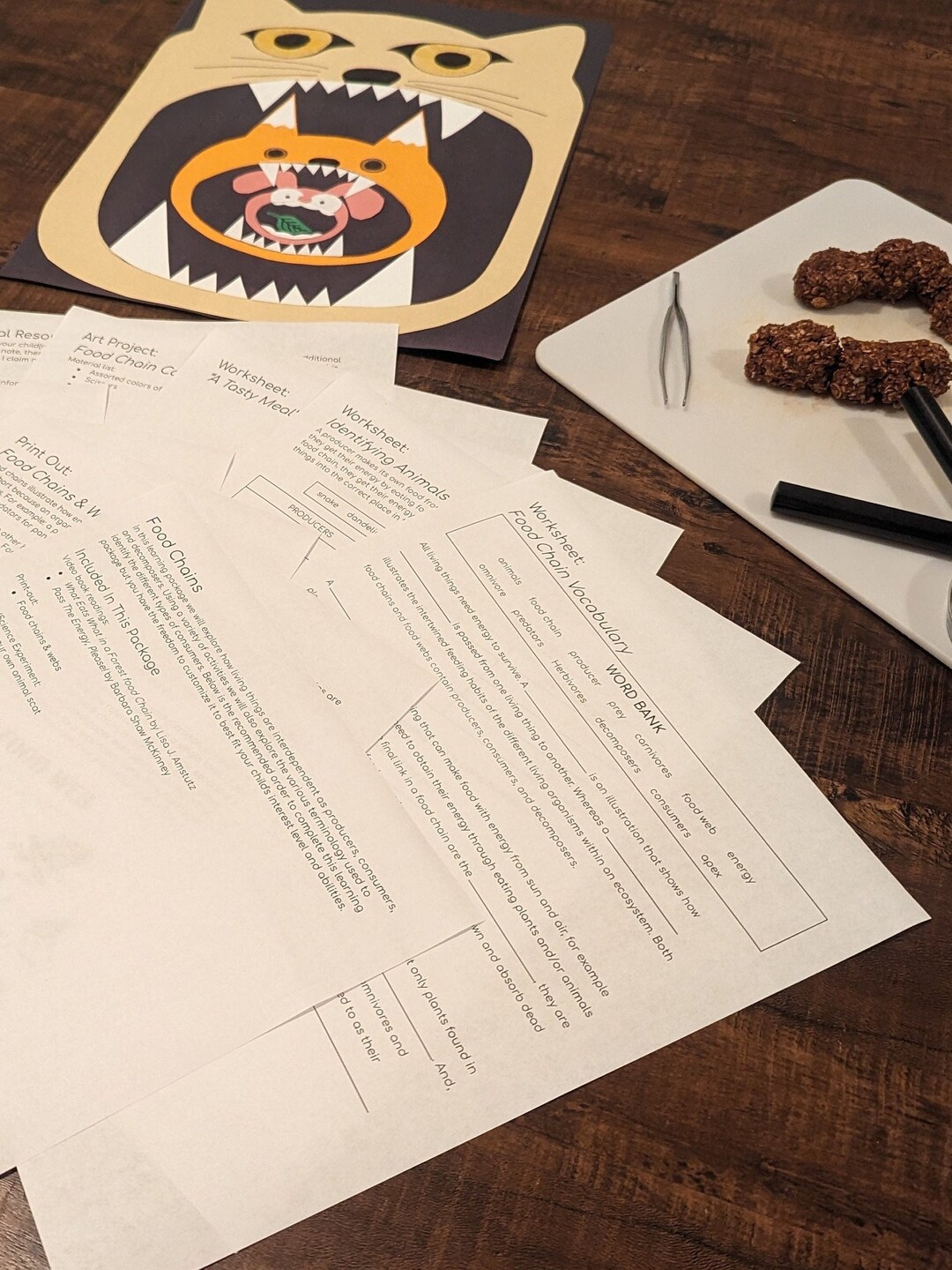 Food Chains & Food Webs | Science Learning Package - Etsy