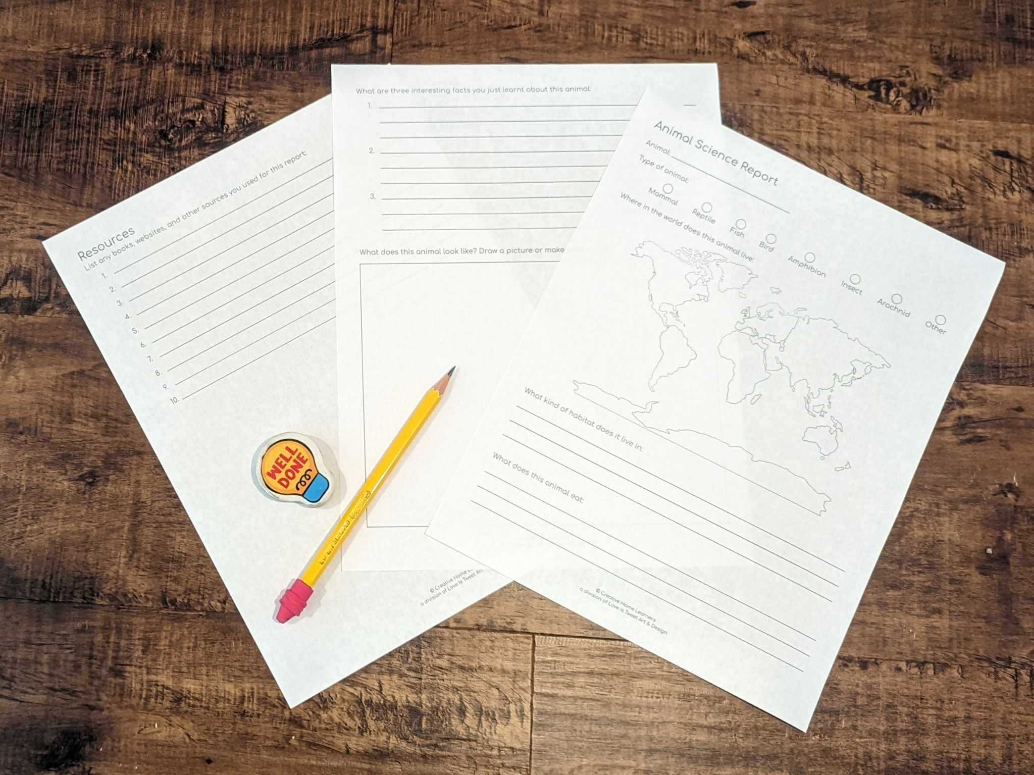Animal Science Report Template | Science Lesson (digital Worksheet ...