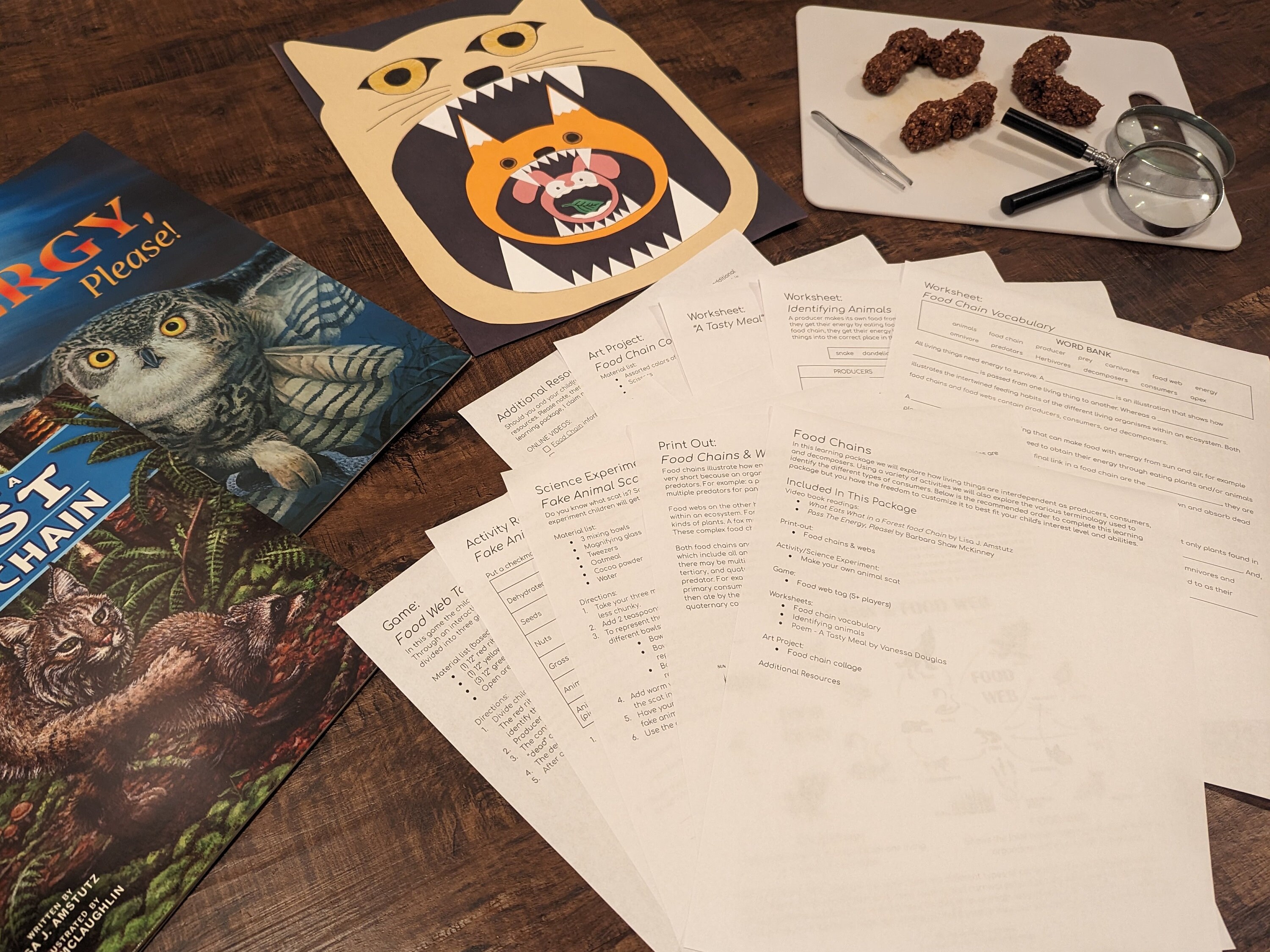 Food Chains & Food Webs Science Learning Package - Etsy