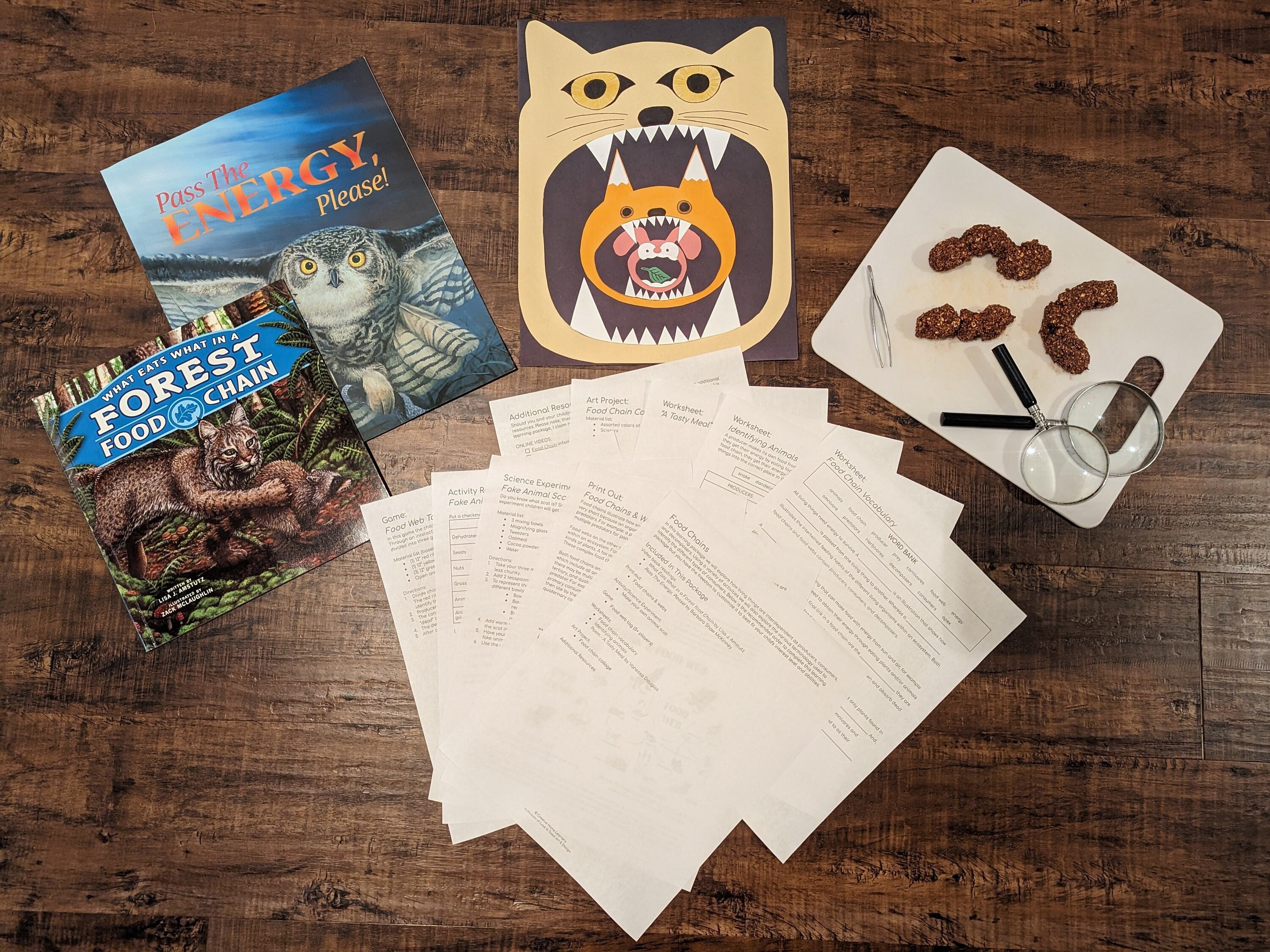 Food Chains & Food Webs Science Learning Package - Etsy