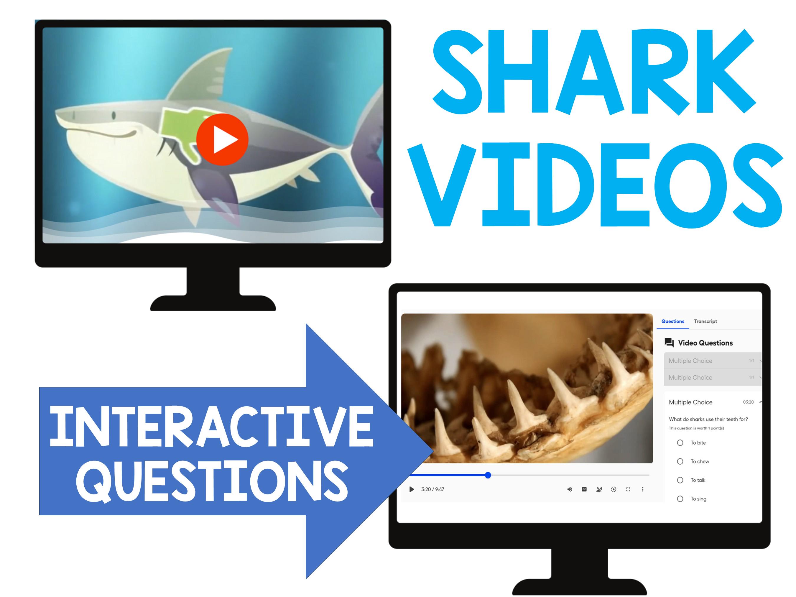 Sharks Digital Activity Board for First or Second Grade | Sharks ...