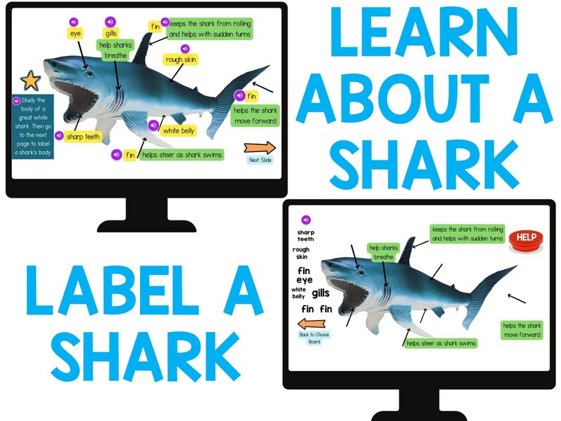 Sharks Digital Activity Board for First or Second Grade | Sharks ...