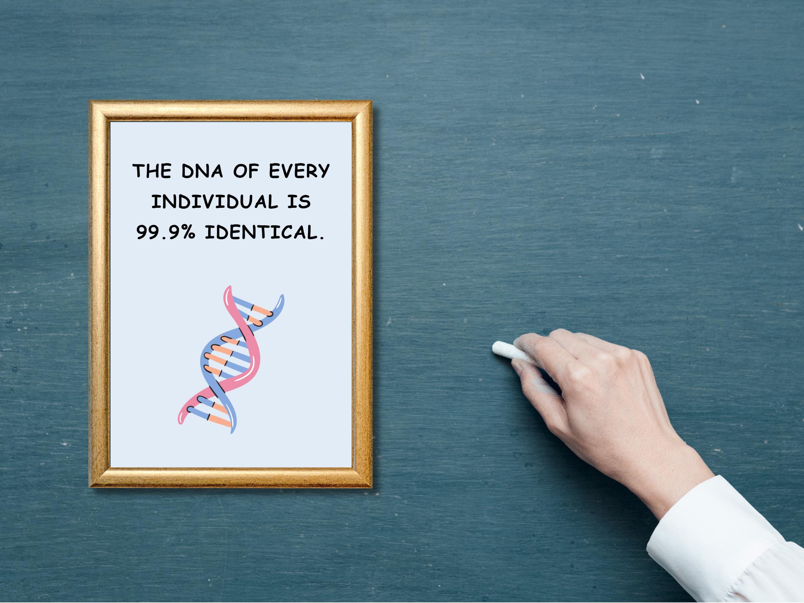 Fun Facts Science Posters, Science Classroom Decor, Science Posters ...