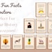 History Classroom Decor, Set of 10 History Posters, History Facts ...