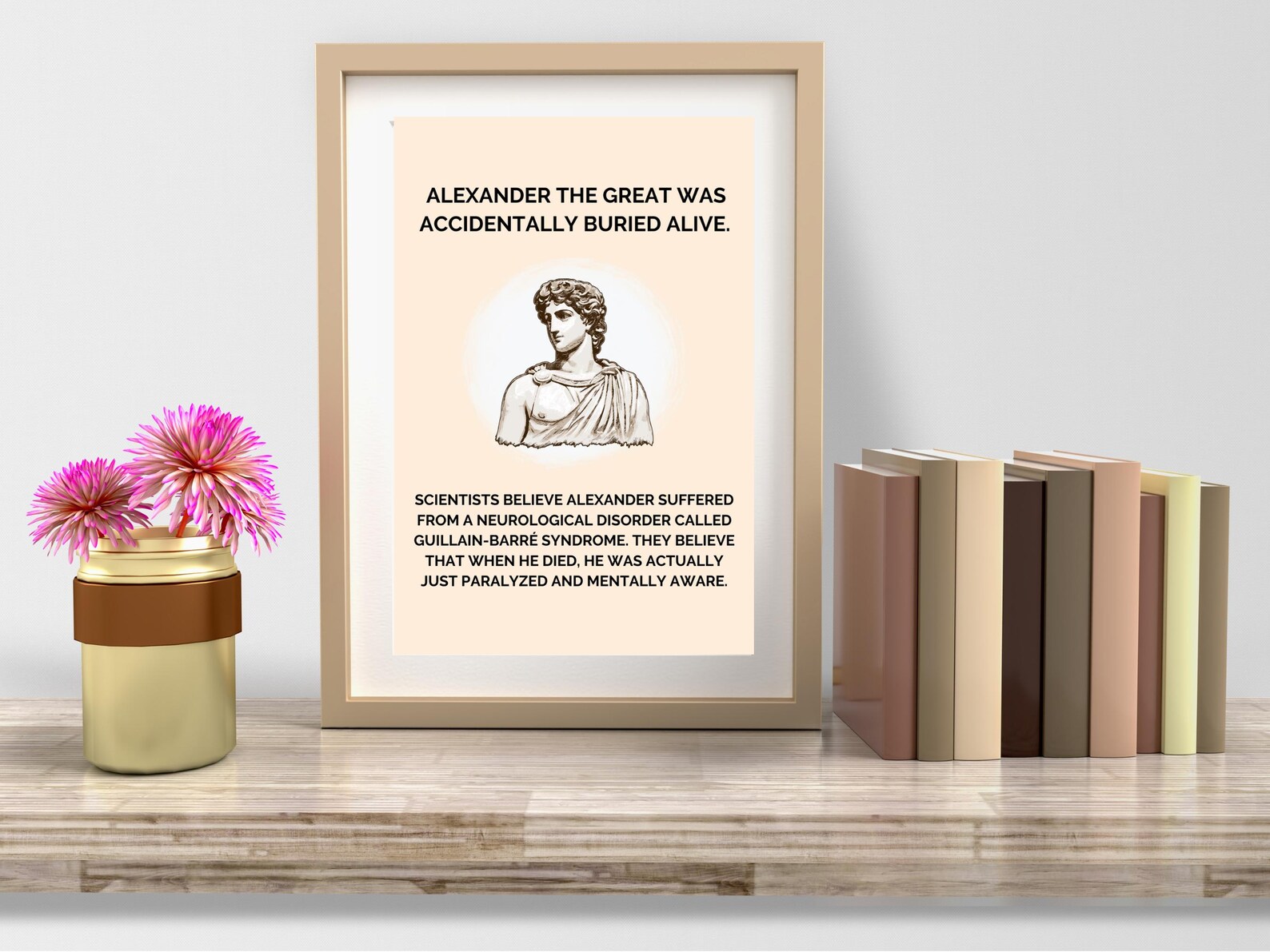 History Classroom Decor, Set of 10 History Posters, History Facts ...