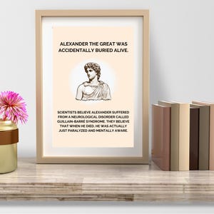 History Classroom Decor, Set of 10 History Posters, History Facts ...