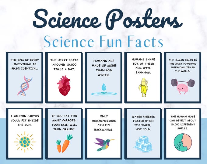 Warning You're in the Science Zone Poster Print, Science Classroom ...