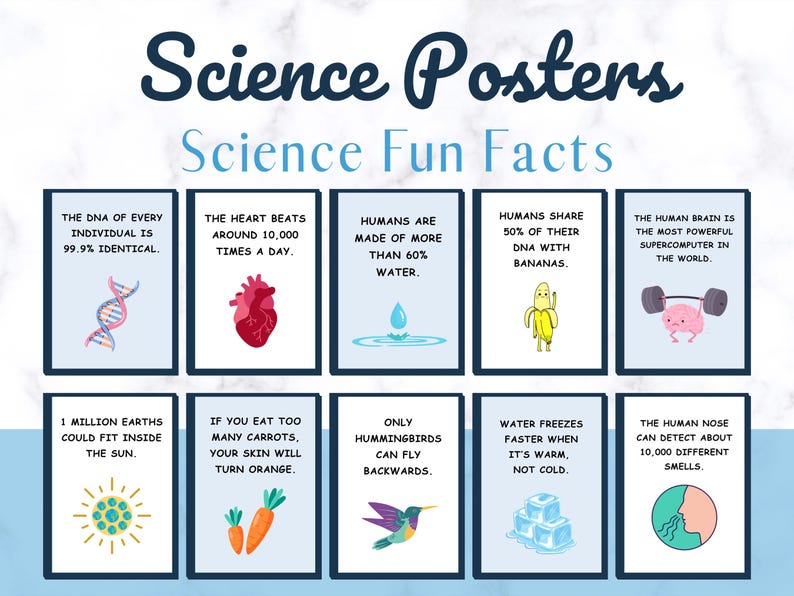 Fun Facts Science Posters, Science Classroom Decor, Science Posters ...