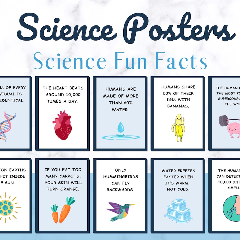 Science Class - Etsy