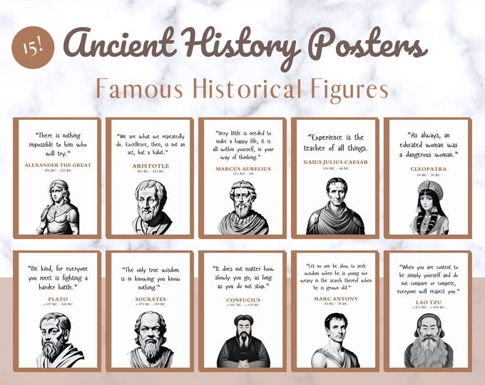 History Classroom Decor | Funny History Posters | Social Studies ...