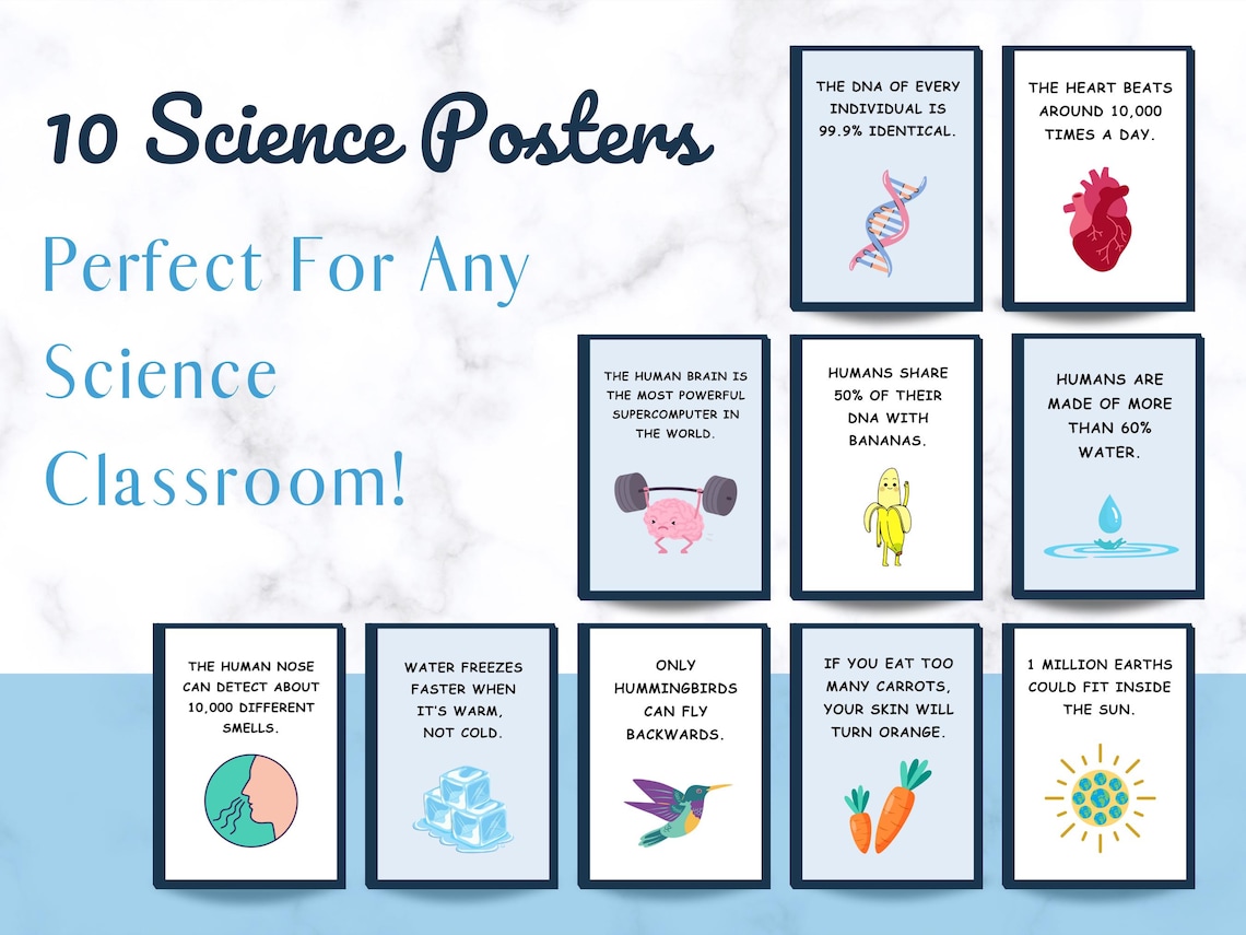 Fun Facts Science Posters, Science Classroom Decor, Science Posters ...
