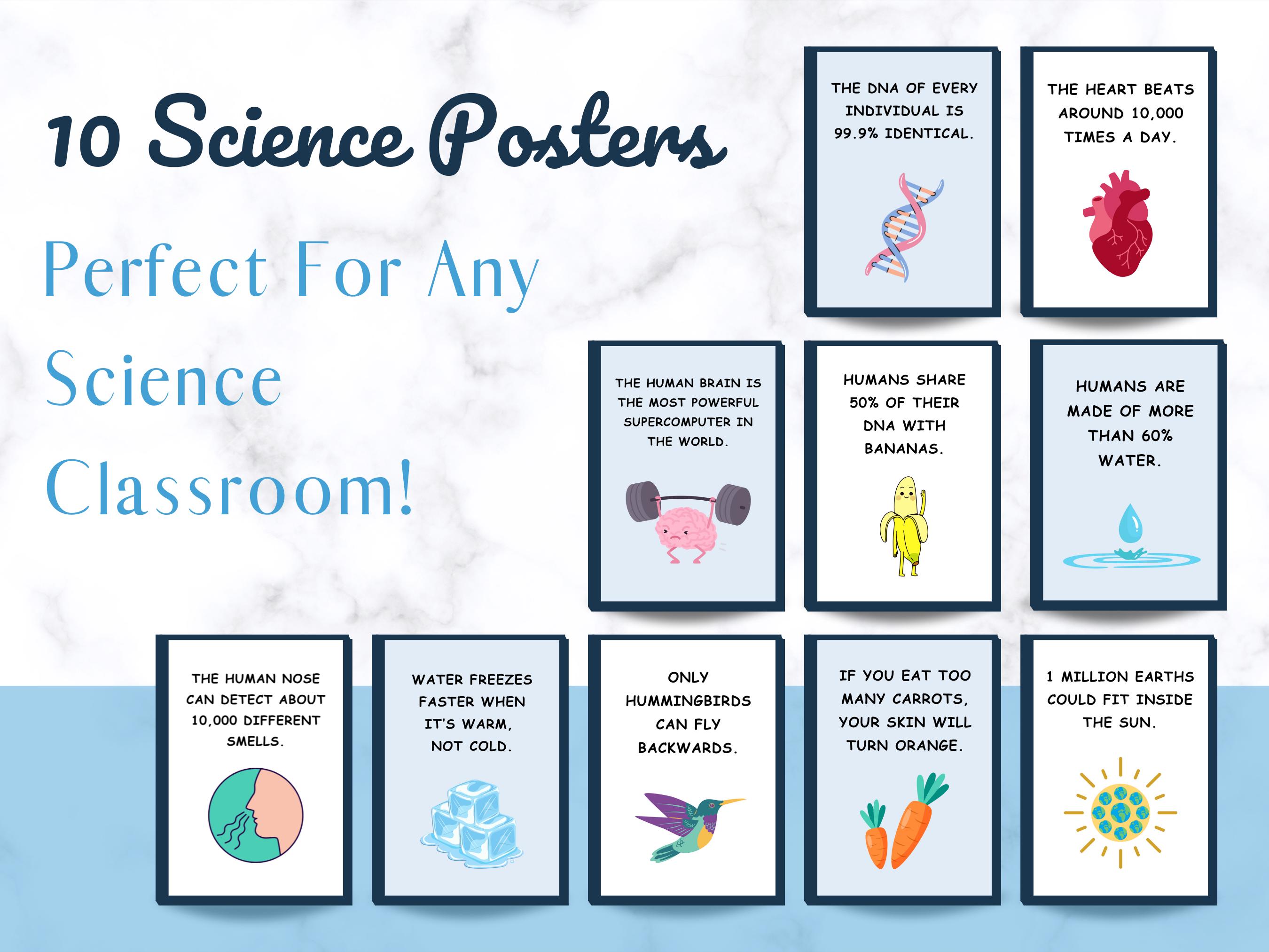 Fun Facts Science Posters, Science Classroom Decor, Science Posters ...