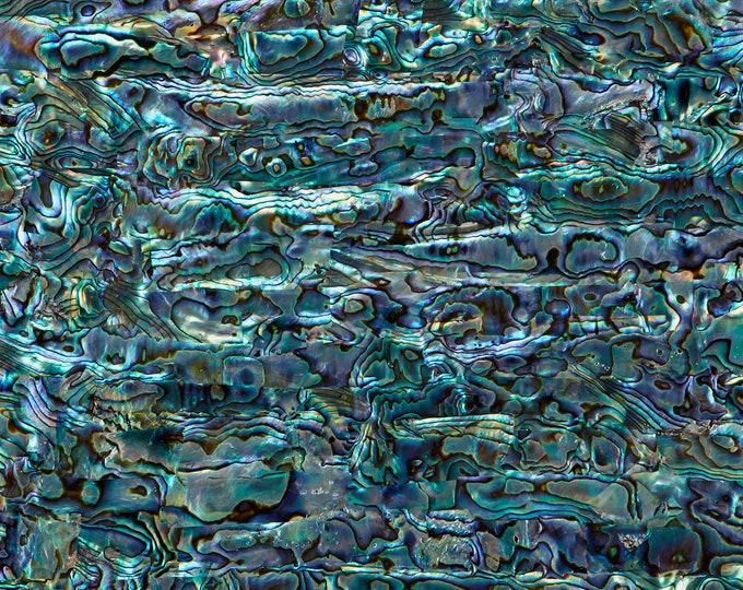 River Shell Adhesive Veneer Sheet mother of Pearl Shell 9.5 X 5.5 ...