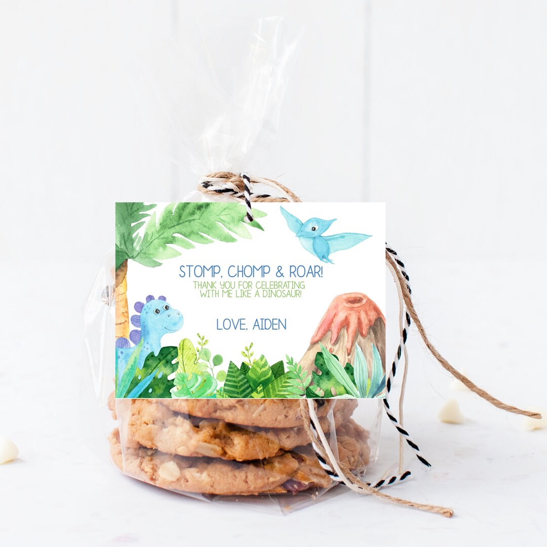 Volcano Dinosaurs Thank You Tag - Digital Birthday Supplies – Dinosaurs ...