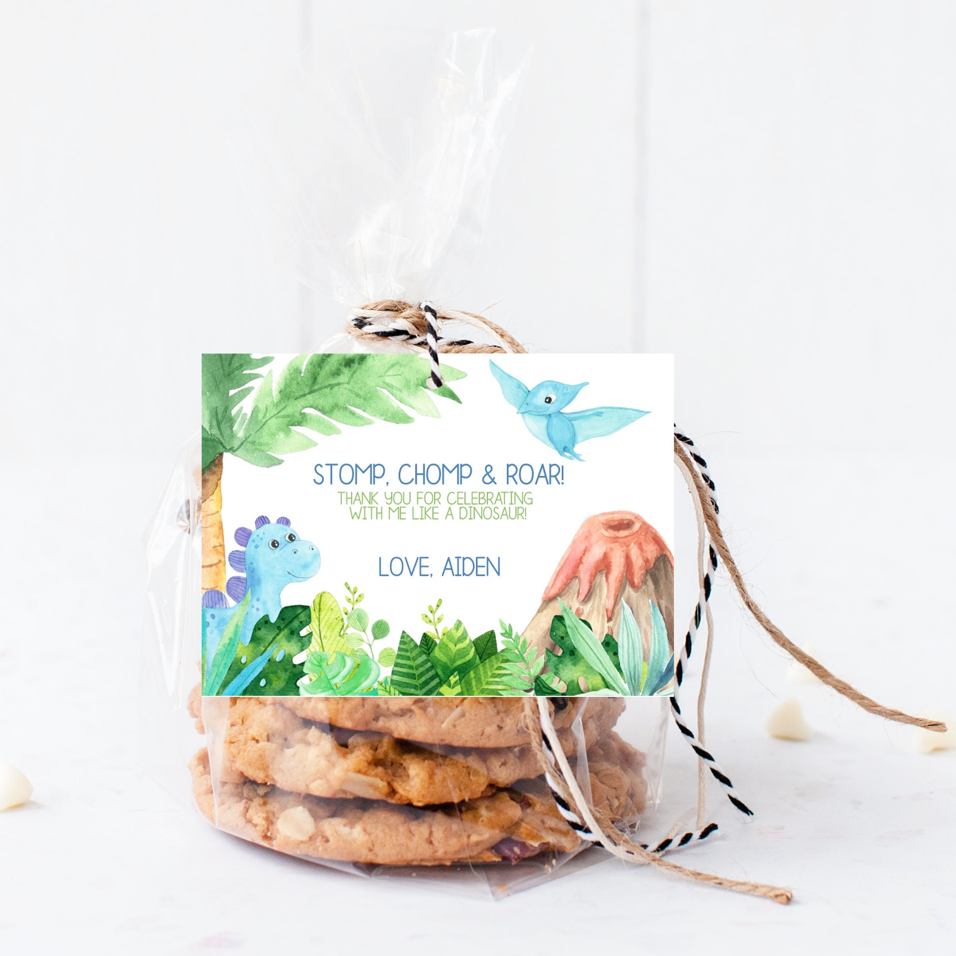 Volcano Dinosaurs Thank You Tag - Digital Birthday Supplies – Dinosaurs ...