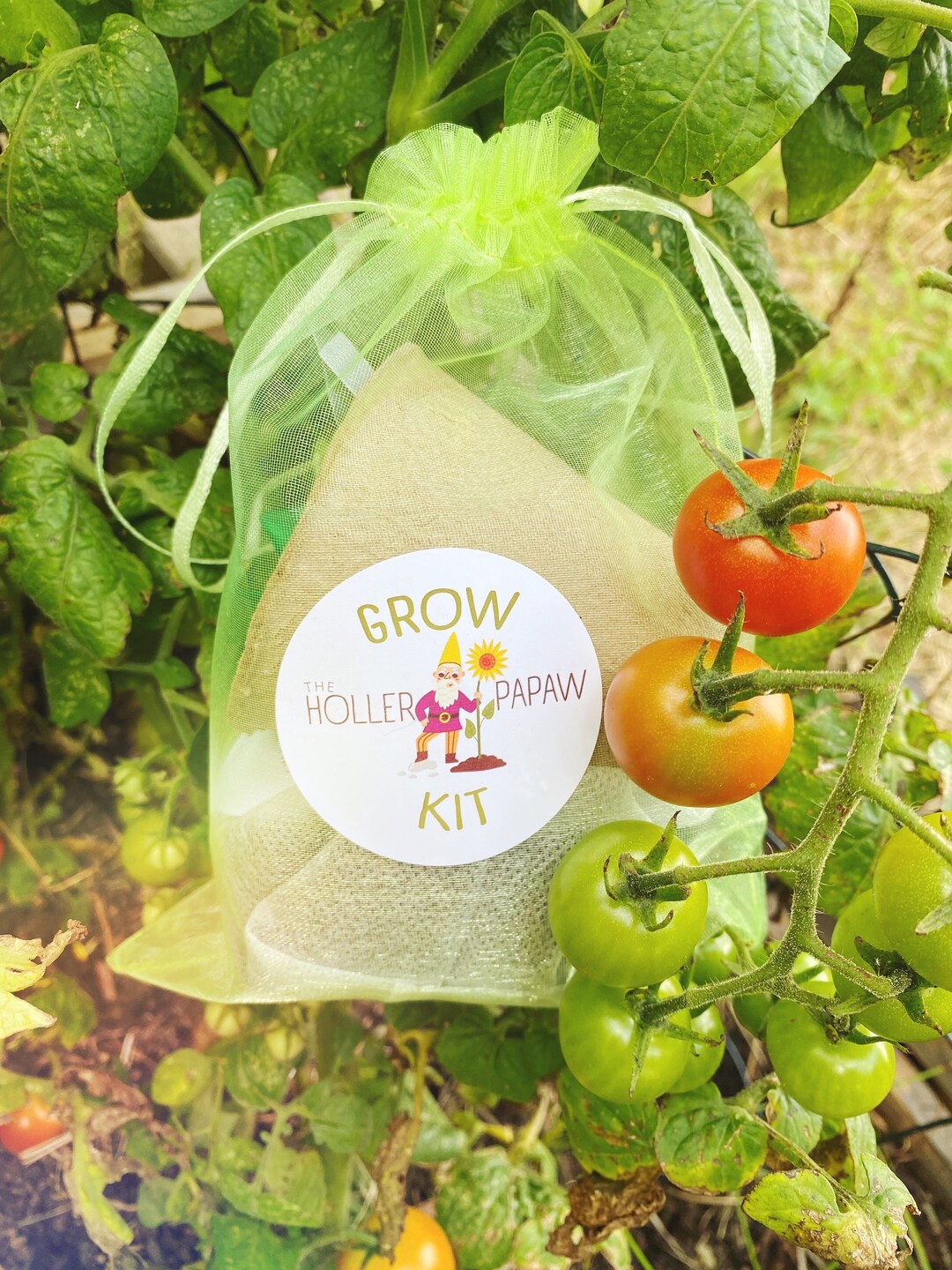 Indoor Fruit and Vegetable Grow Kit - Organic Heirloom Seeds! Papaw's ...