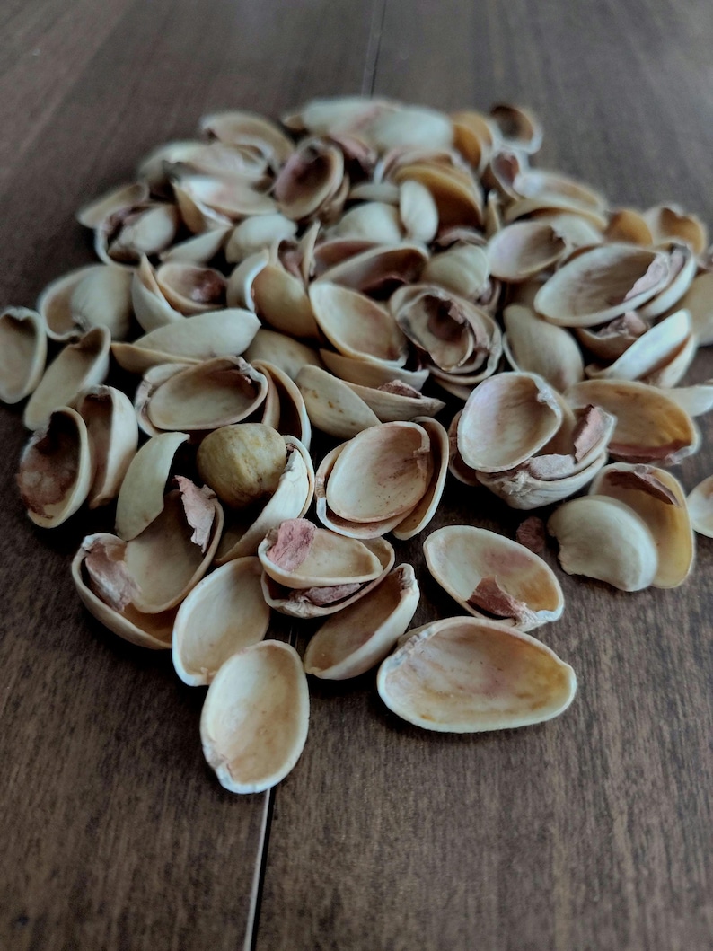 Pistachio Shells - Shells for Crafting - Composting - Pest Repellent ...