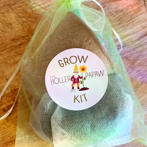 Indoor Pepper Grow Kit Gift Set Organic Heirloom Seeds Grow Your Own ...