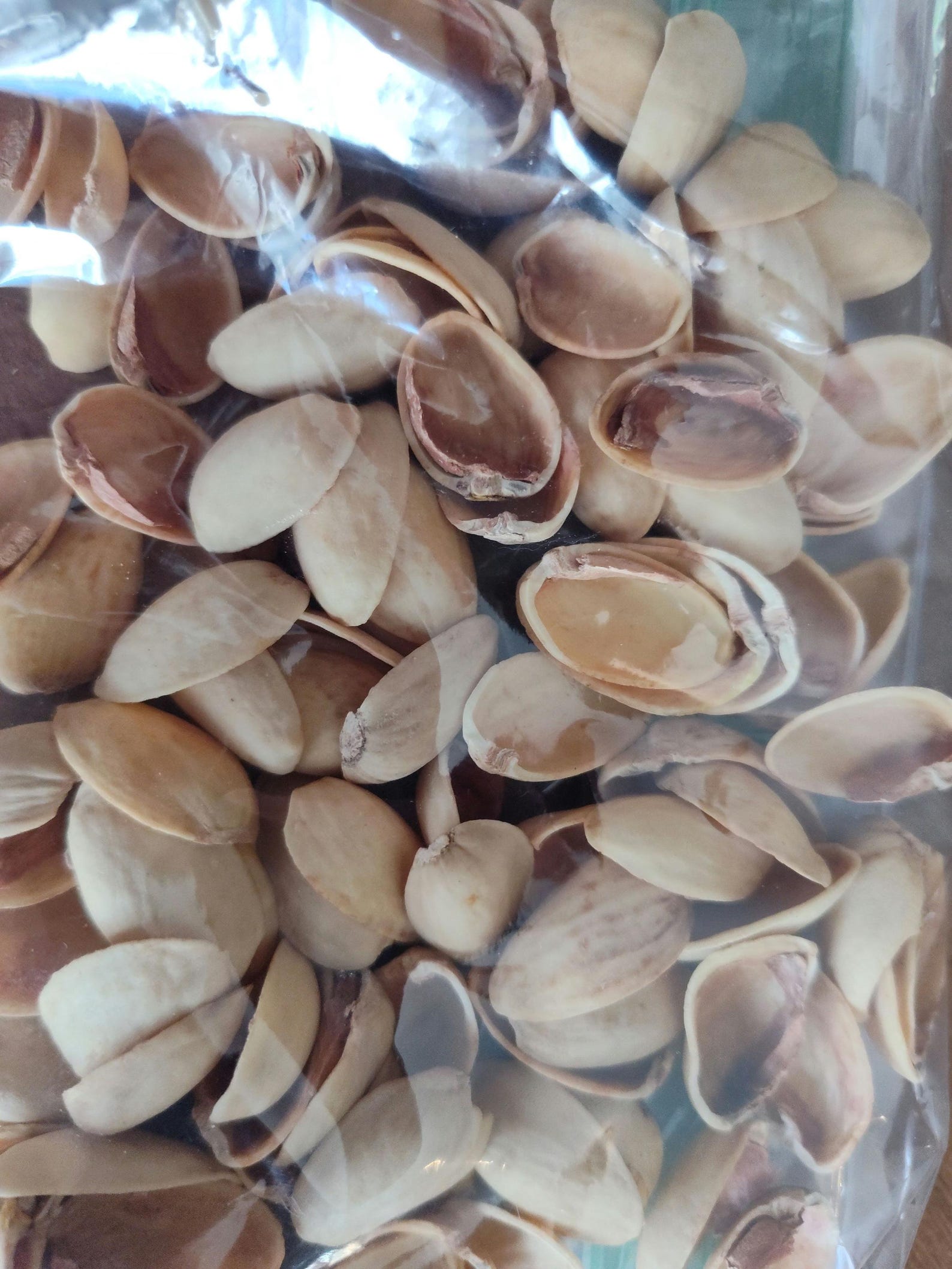 Pistachio Shells - Shells for Crafting - Composting - Pest Repellent ...
