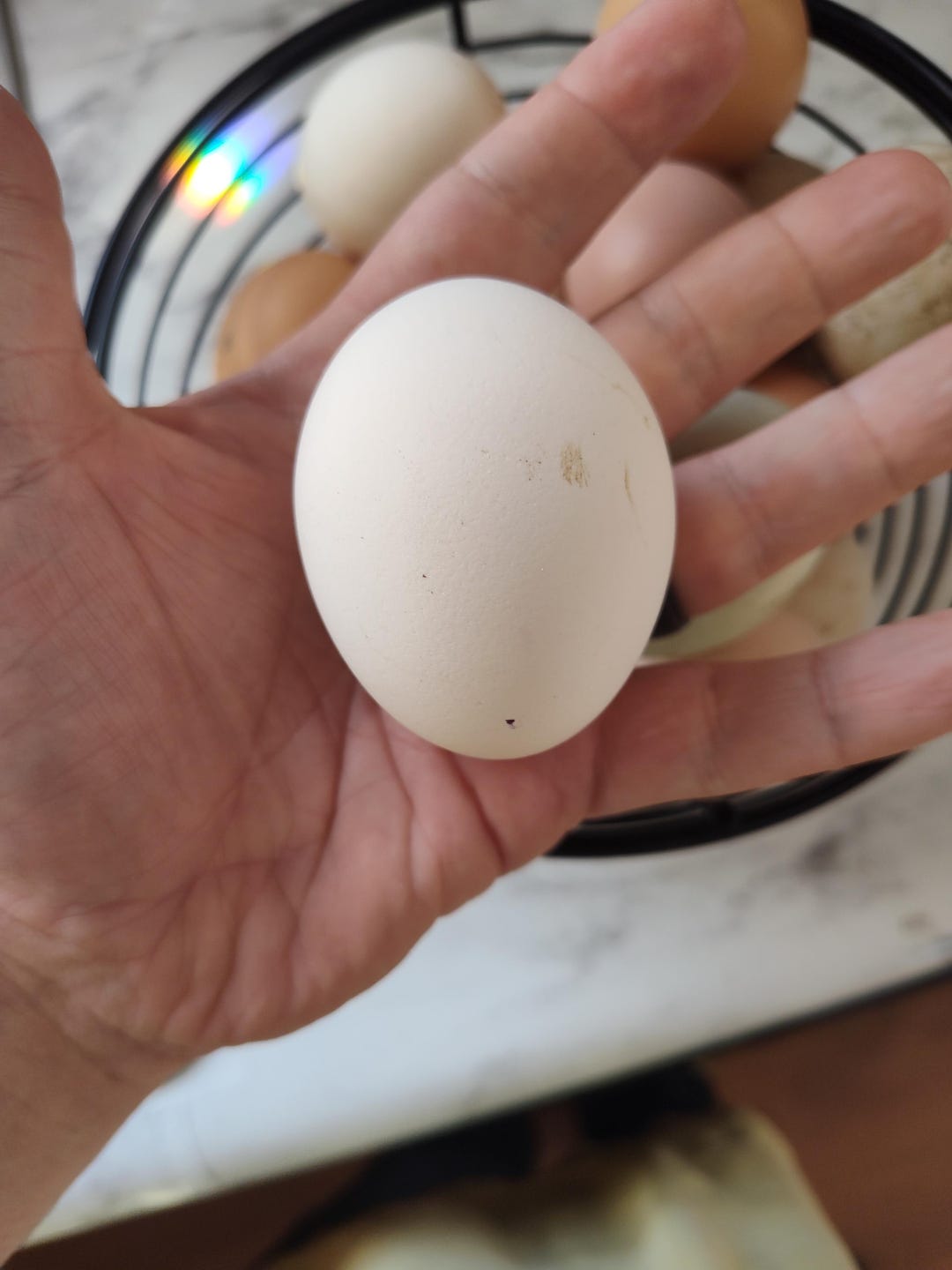 Organic Fresh Duck Eggs - Six Unwashed Eggs - Barnyard Hen Mix - Free ...