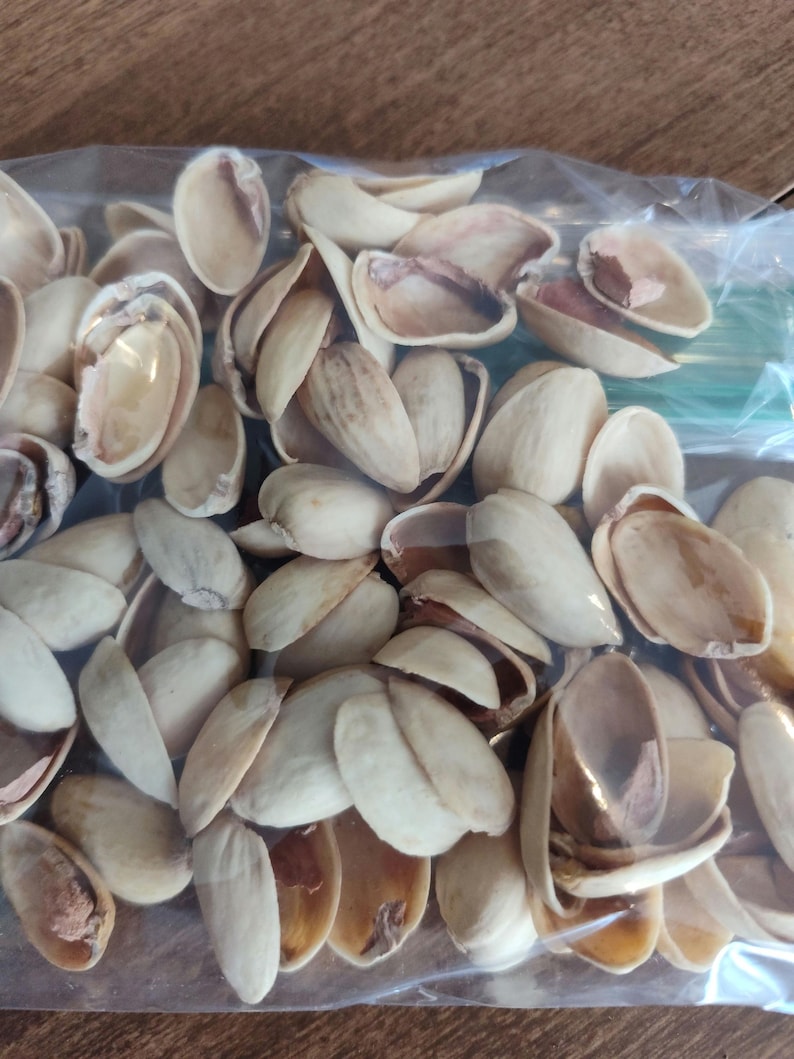Pistachio Shells - Shells for Crafting - Composting - Pest Repellent ...