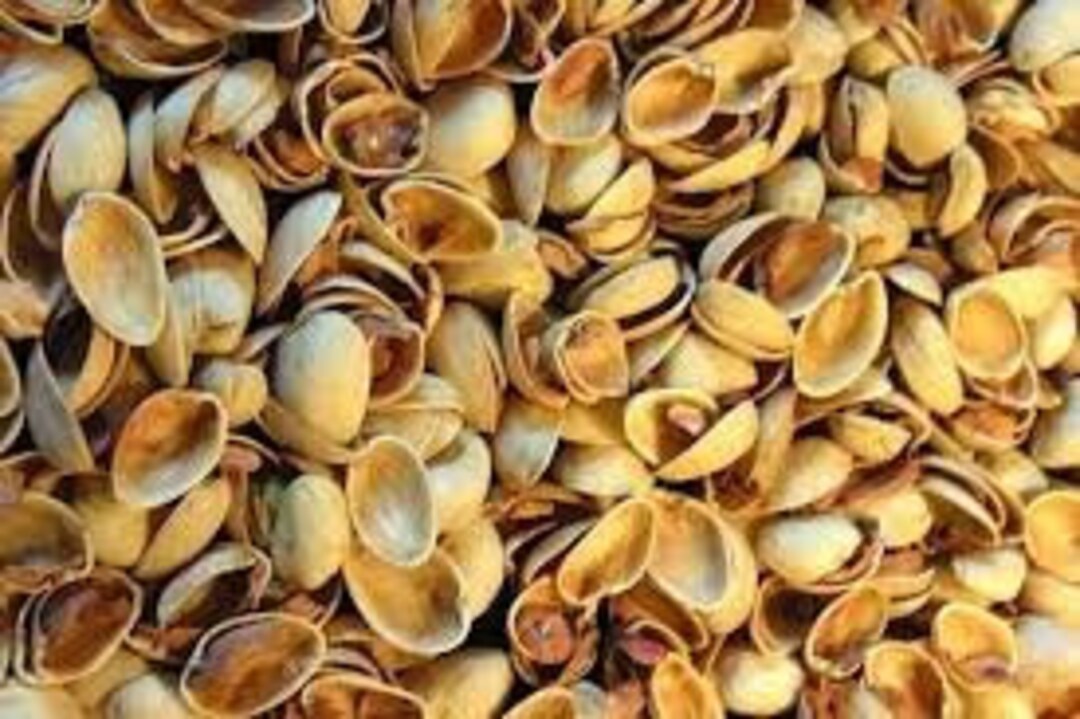 Pistachio Shells Shells for Crafting Composting Pest Repellent Free ...