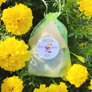 Indoor Pepper Grow Kit Gift Set - Organic Heirloom Seeds! - Grow Your ...