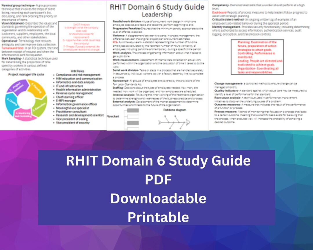 RHIT Domain 6 Study Guide - Etsy