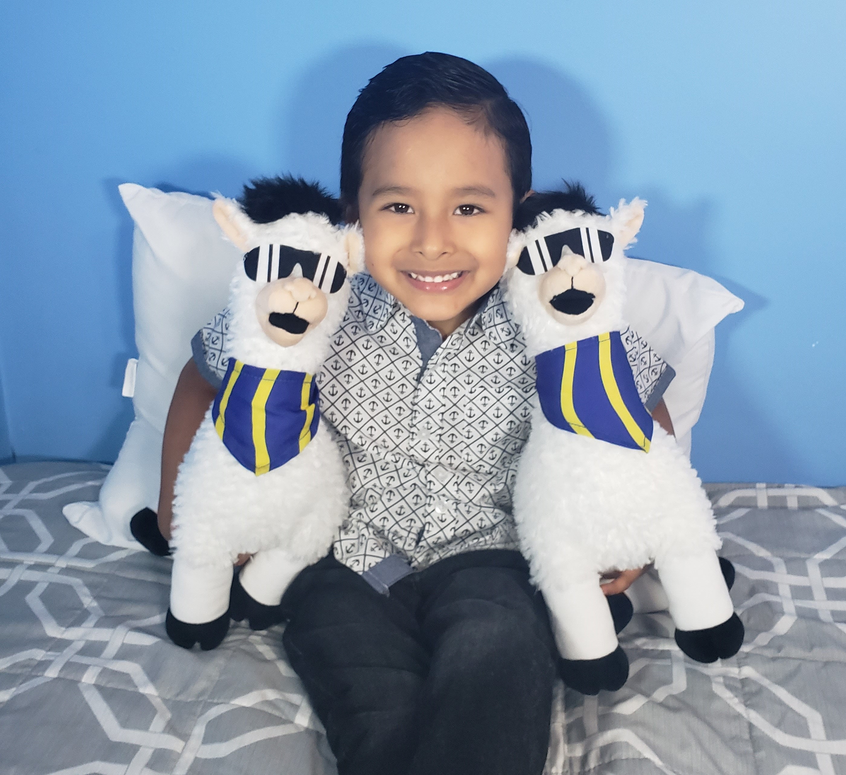 Personalized Embroidered Picky Llama Stuffed Animal Plush Toy 15 ...