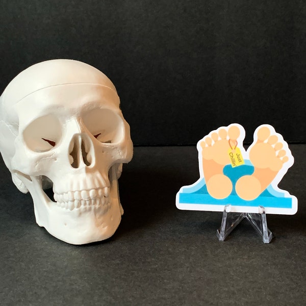 Coroner Decals - Etsy