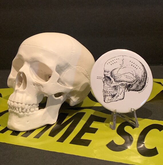 Anatomy Skull Pin-back Button Forensic Pathology Medical - Etsy