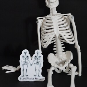 Best Friends Forever Skeleton Bffs Sticker | Gothic Love and Friendship ...