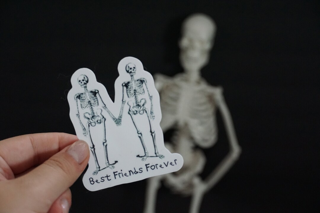 Best Friends Forever Skeleton Bffs Sticker | Gothic Love and Friendship ...
