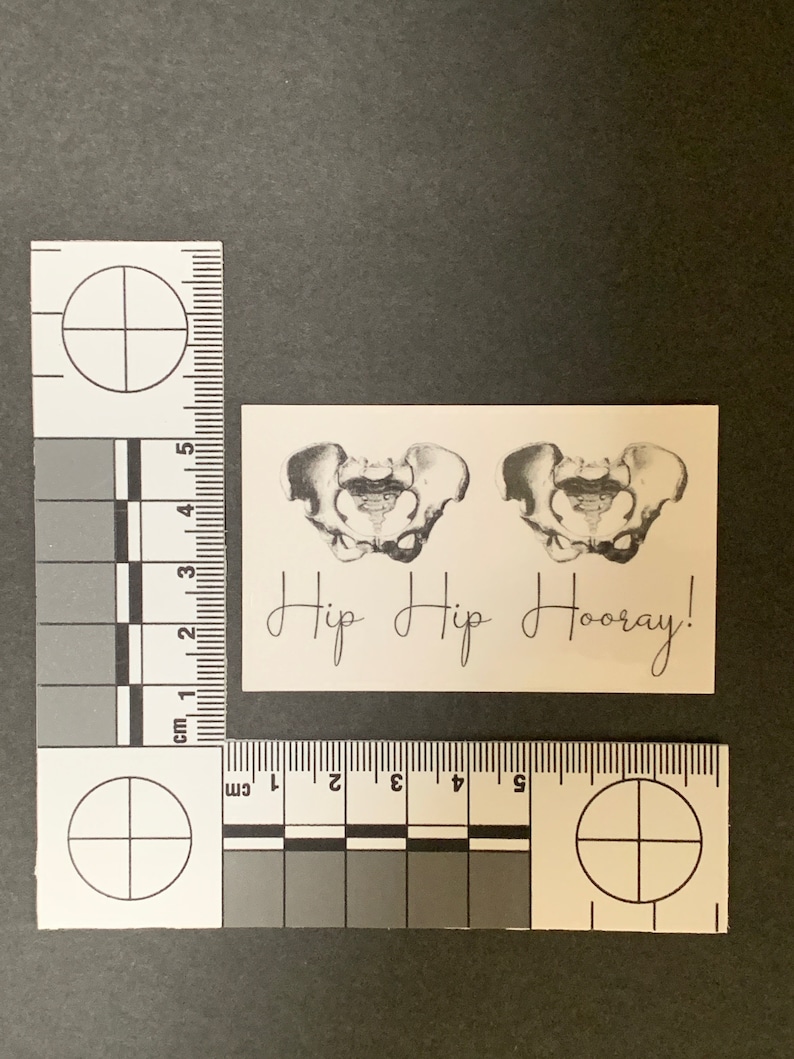 Hip Hip Hooray Anatomy Pun Sticker: Forensics & Science Humor - Etsy