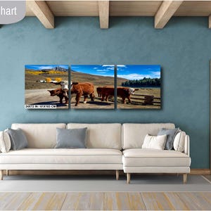Momma Cow Stands Guard: Crested Butte Colorado Cattle Canvas / Metal ...