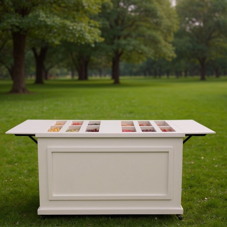 Charcuterie Cart Plan | Dessert Cart | Food Cart | Mobile Bar With ...