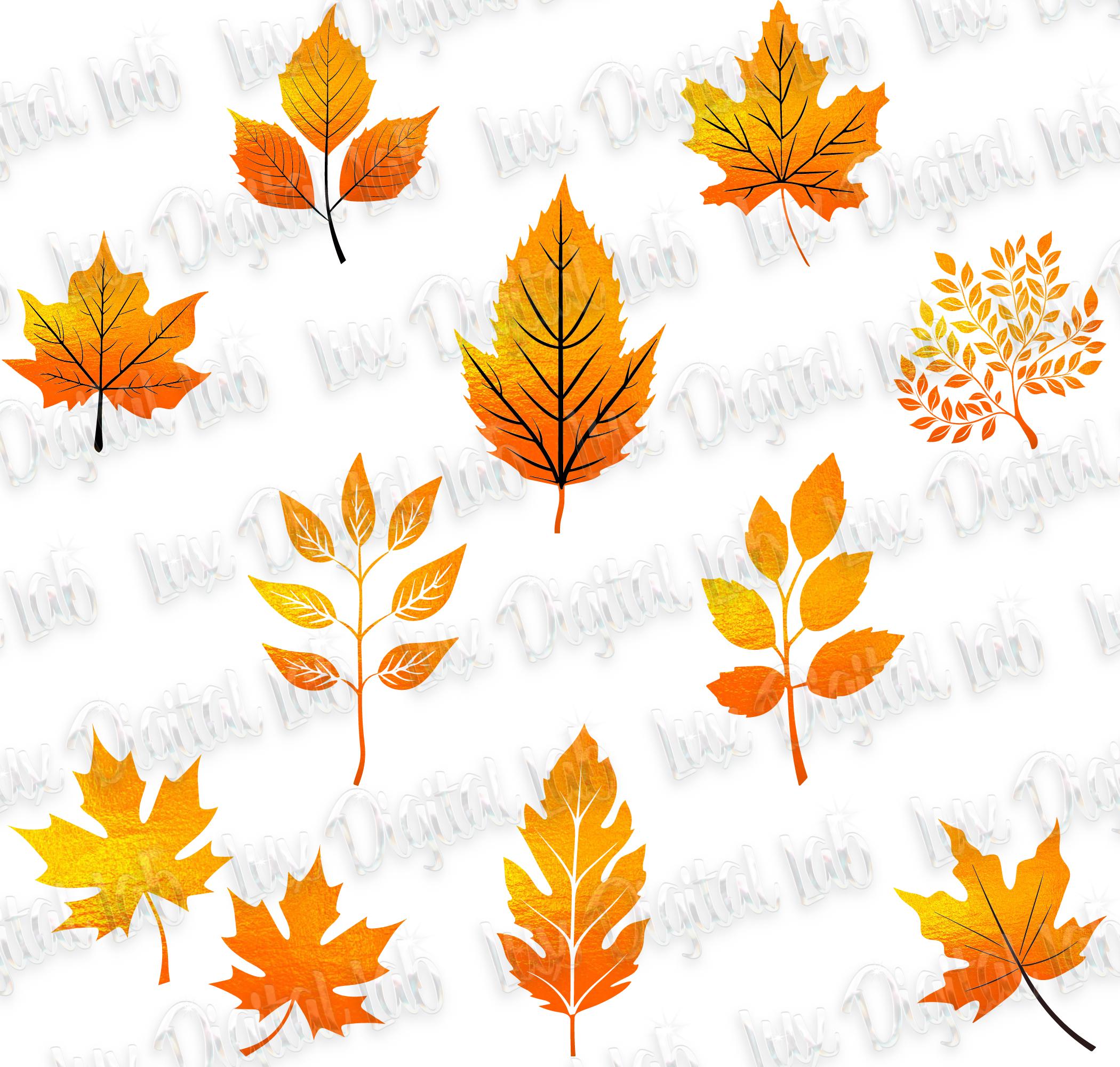 Fall Leaves PNG Clip Art - Etsy