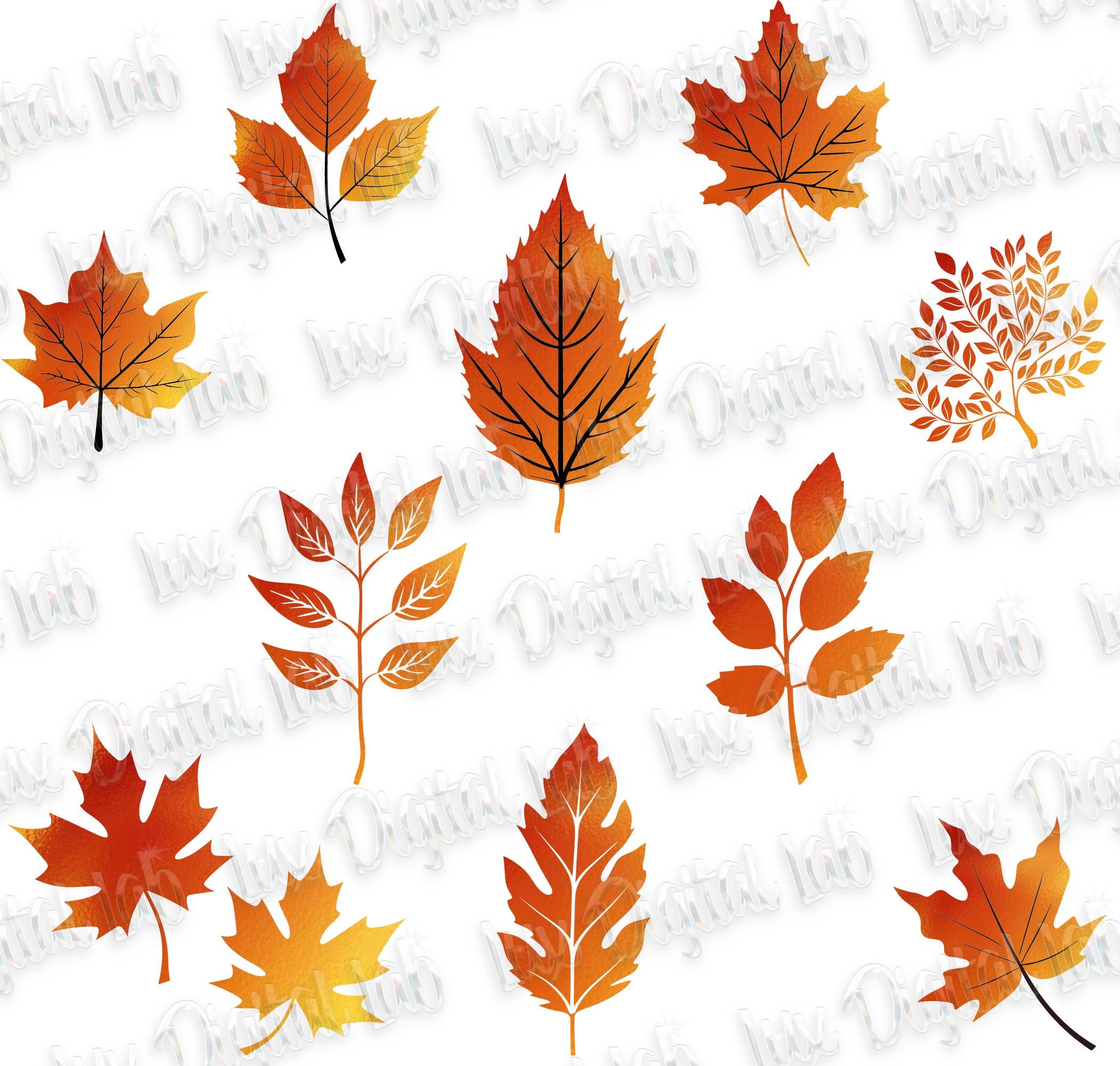 Fall Leaves PNG Clip Art - Etsy