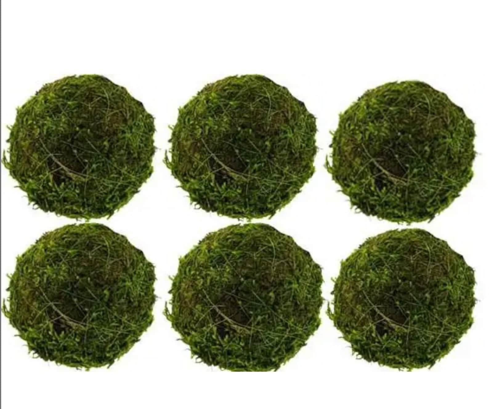 Moss Ball, Natural Moss Balls, Decorative Balls, Moss Covered Balls ...
