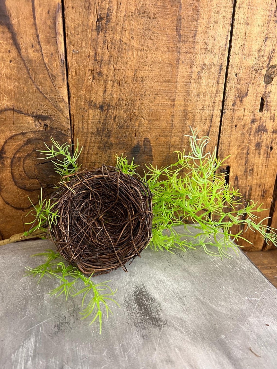 Bird Nest Stem, Cute Bird Nest Stem, Spring Decor, Easter Decoration ...