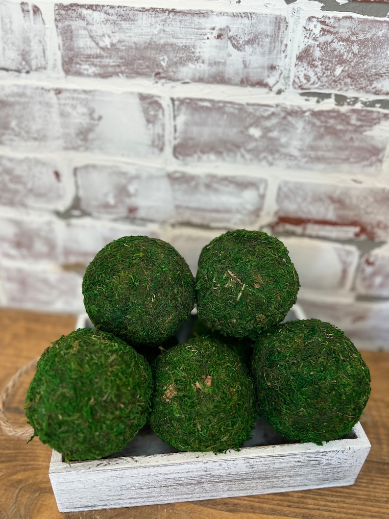 Moss Ball, Natural Moss Balls, Decorative Balls, Moss Covered Balls ...