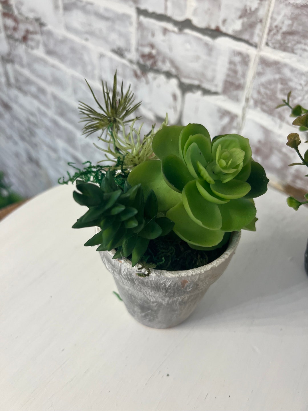 Boxwood Mini Clay Pot, Succulent Flower Pot, Tiered Tray Plants, - Etsy