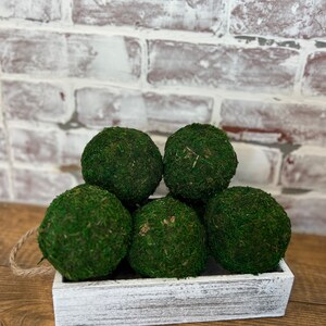 Moss Ball, Natural Moss Balls, Decorative Balls, Moss Covered Balls ...